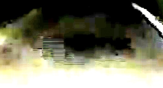 Falmouth "Shadow Creature" Video [Black Cat?] | Metabunk