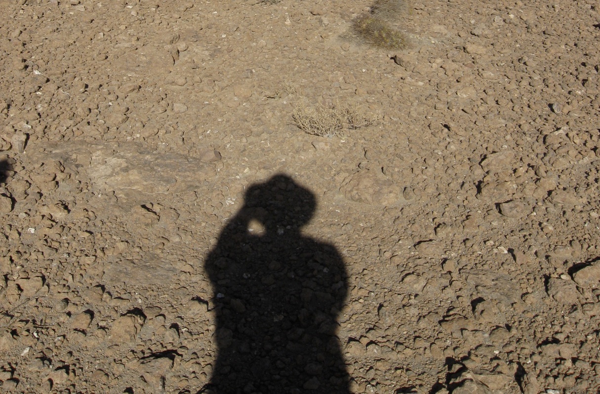 Debunked: Moon Landing and NASA Photo - non parallel shadows | Metabunk