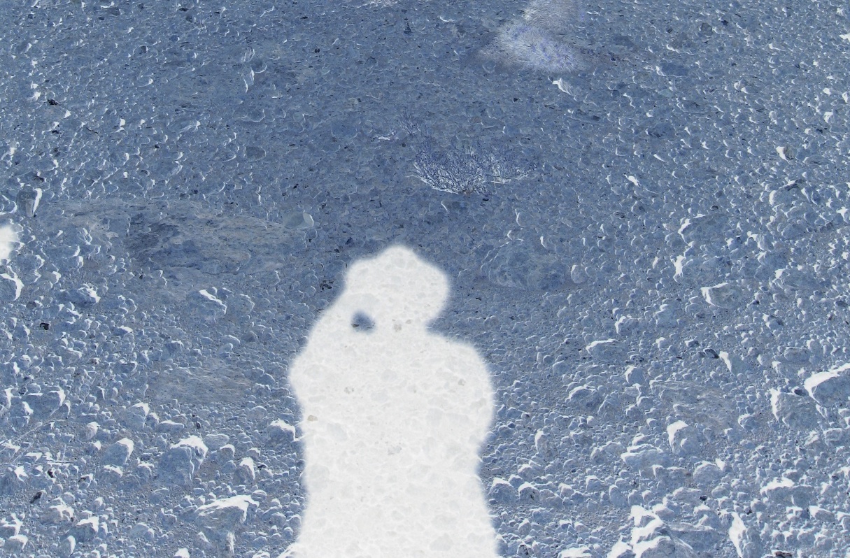 Debunked: Moon Landing and NASA Photo - non parallel shadows | Metabunk