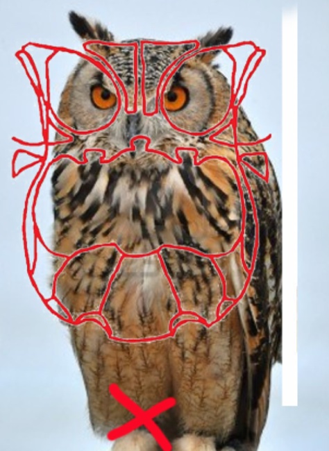 DC Owl | Page 2 | Metabunk